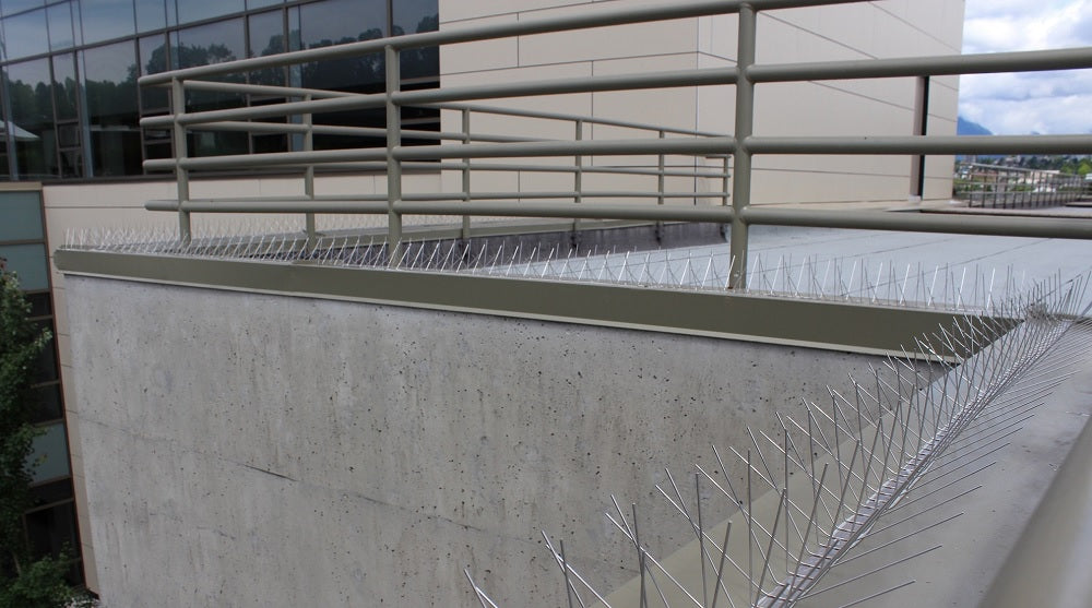 Marine Grade - Stainless Steel Bird Spikes Extra Wide | BUY ONLINE ...